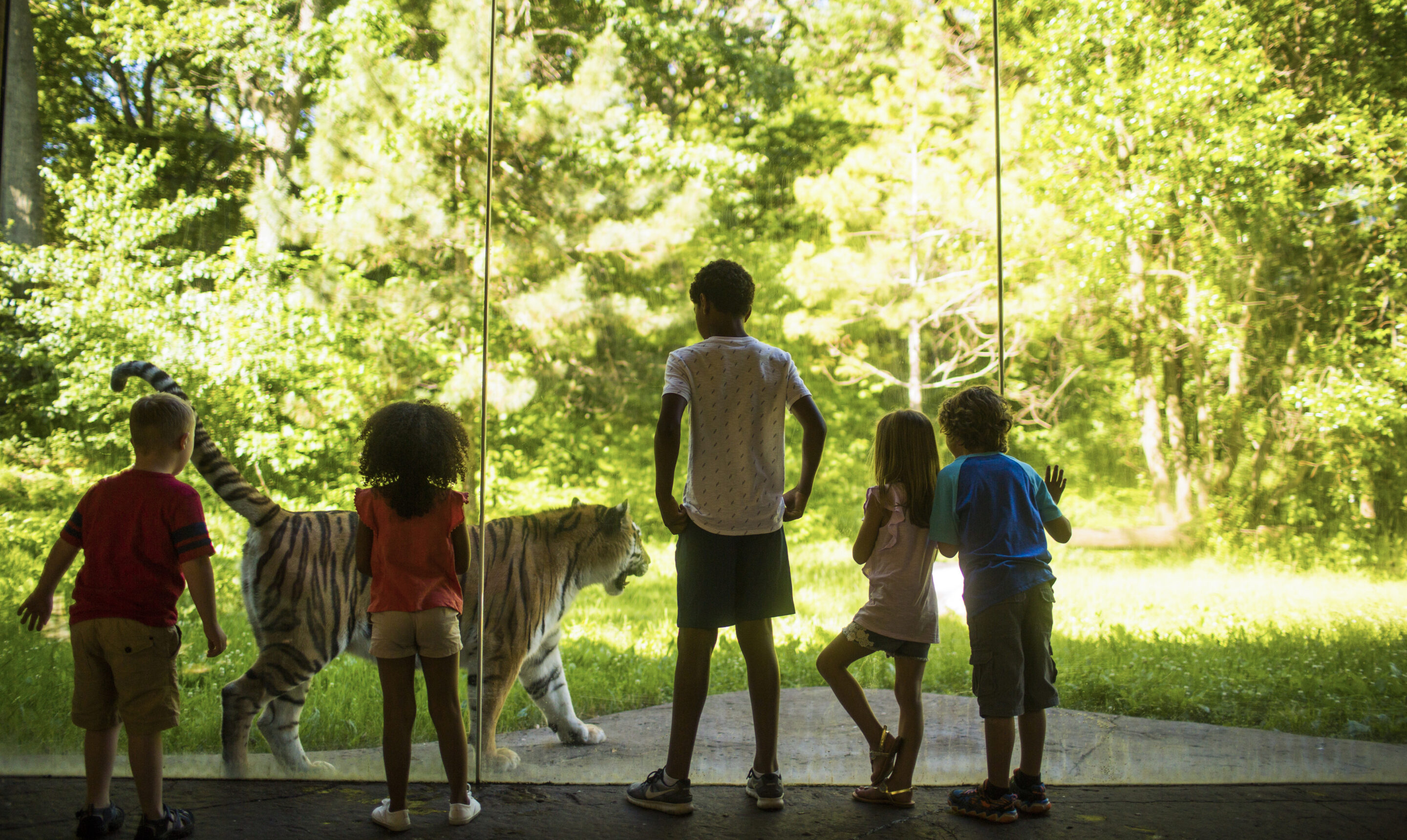 Minnesota Zoo - Bloomington MN Travel & Tourism - Mall of America Hotels